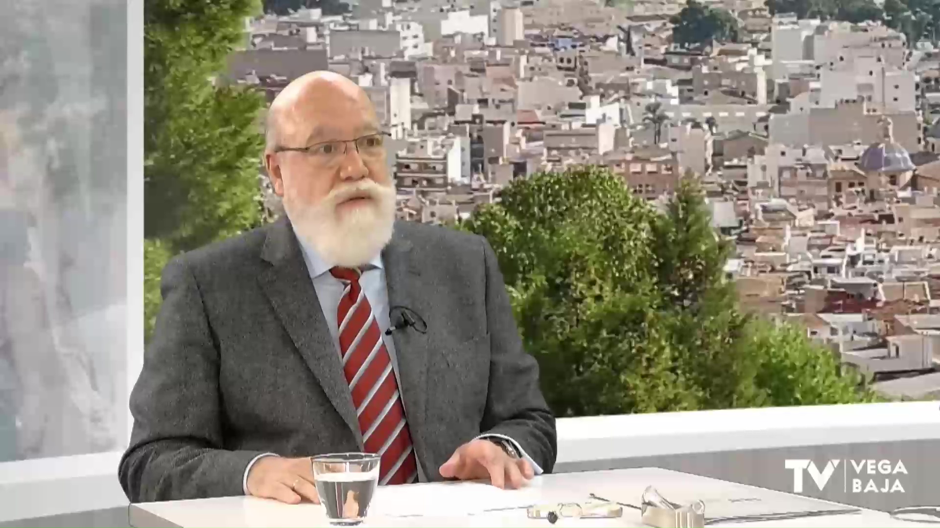 La Web TV de Televisión Vega Baja